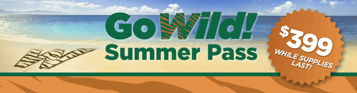 GoWild! All You Can Fly Pass™ | Frontier Airlines